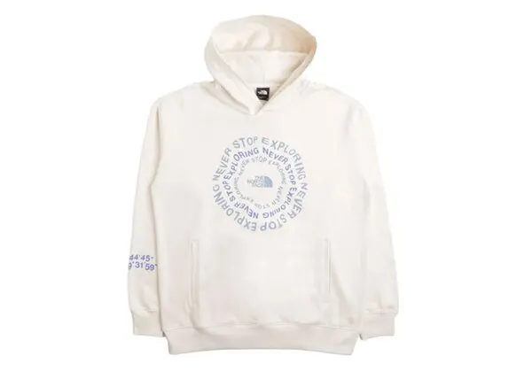 The North Face Nse Graphic Circle Logo Pullover Hoodie