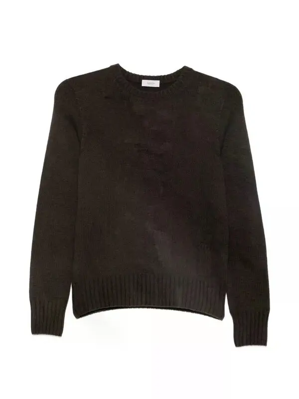 Agnona Crew Neck Sweater