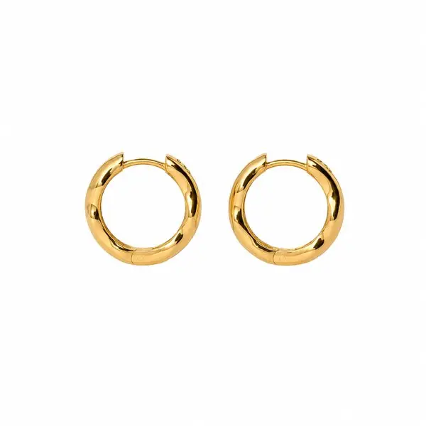 SEROTONIN COMPLICE Plated Hoop Earrings