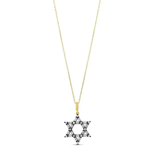 SHYMI Star Of David Necklace With Cubic Zirconia In Black Rhodium And Gold Plating - Gold/black