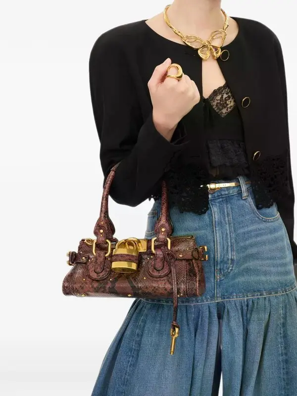 Chloé Small Paddington Handbag - Brown