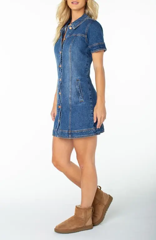 Roxy Dusk After Dark Button-up Minidress