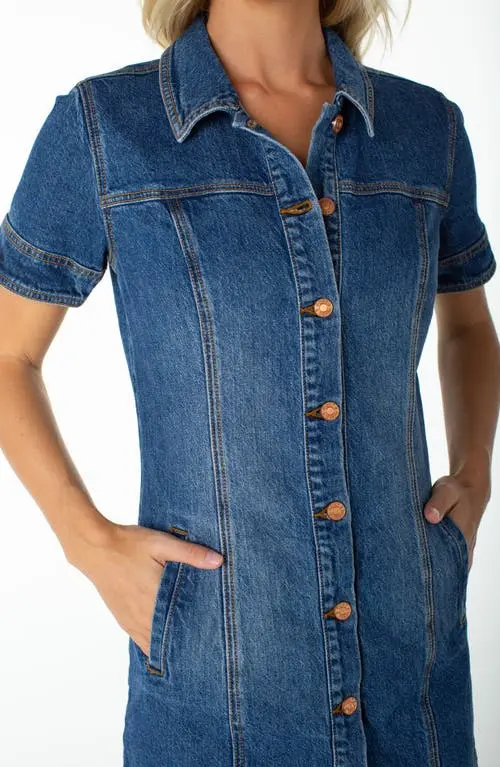 Roxy Dusk After Dark Button-up Minidress