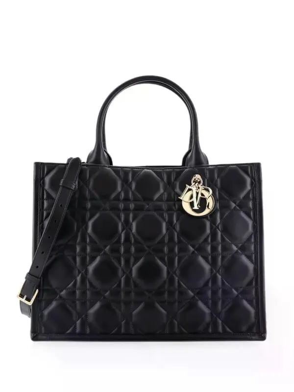 Dior Book With Strap Tote Bag