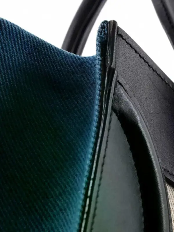 Celine Luggage Bag Canvas And Leather Micro Tote Bag