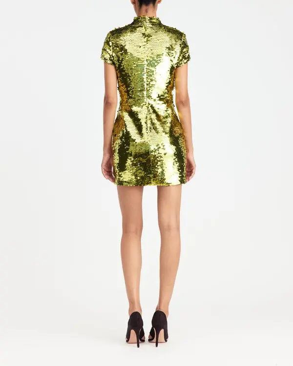 16Arlington Iona Mini Dress