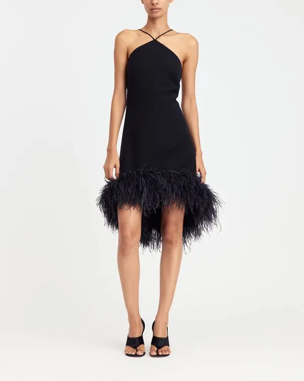 16Arlington Addy Mini Dress With Feather Trim