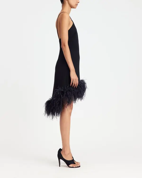 16Arlington Addy Mini Dress With Feather Trim