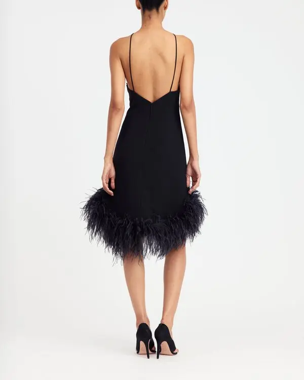 16Arlington Addy Mini Dress With Feather Trim