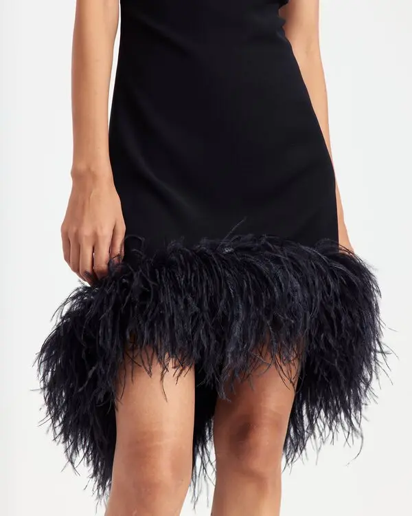 16Arlington Addy Mini Dress With Feather Trim