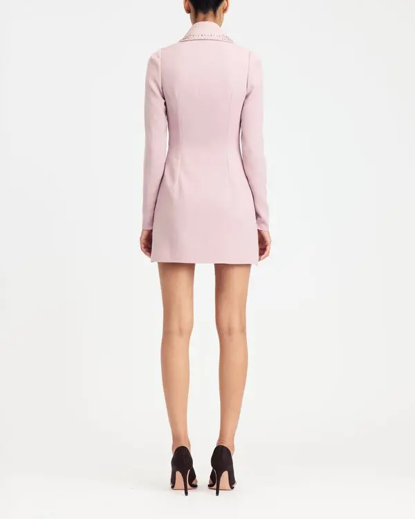 16Arlington Imre Mini Dress With Crystal Embellishments - Pink