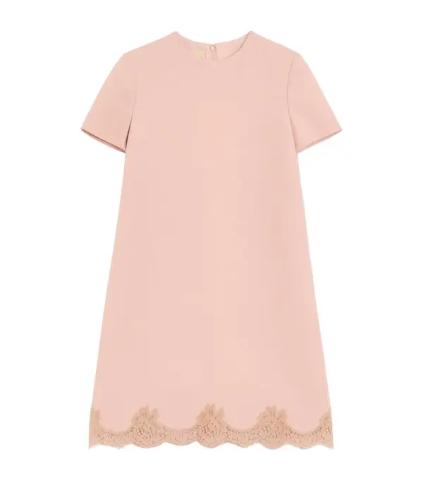 Valentino Garavani Wool-silk Lace-trim Mini Dress - Pink