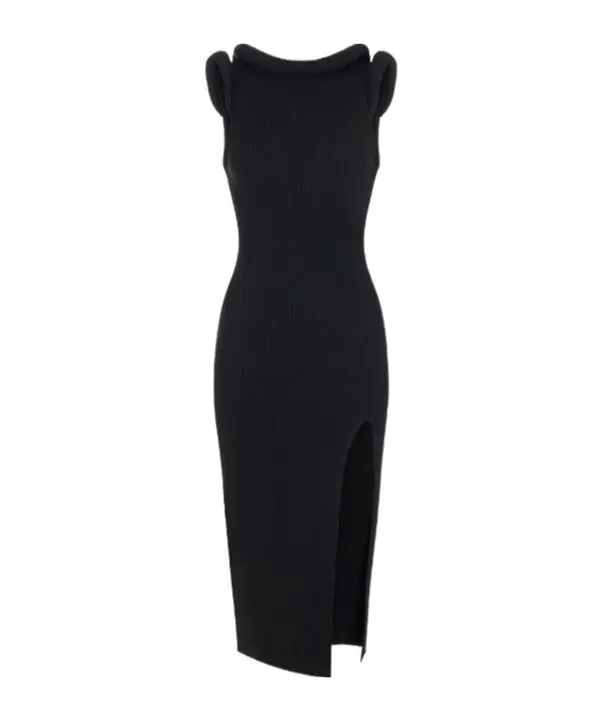 Elisabetta Franchi Knit Dress With 3d Details