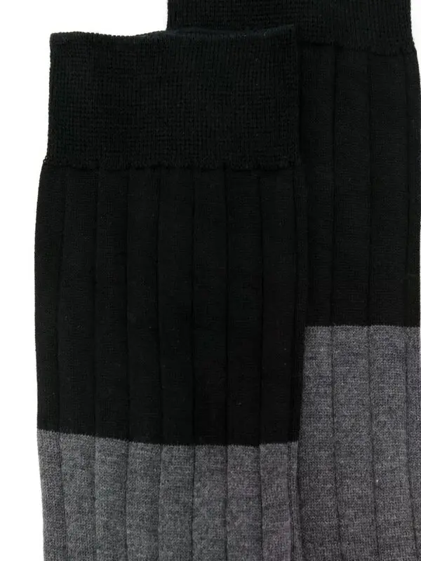 Plan C Ribbed Two-tone Socks