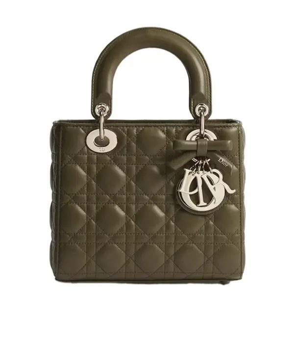 Dior Small Lady Shoulder Bag - Khaki