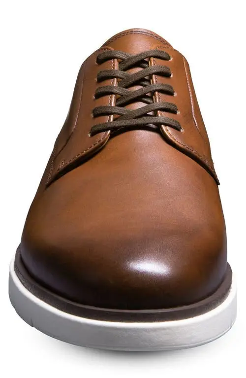 Allen Edmonds Carson Derby - Chili
