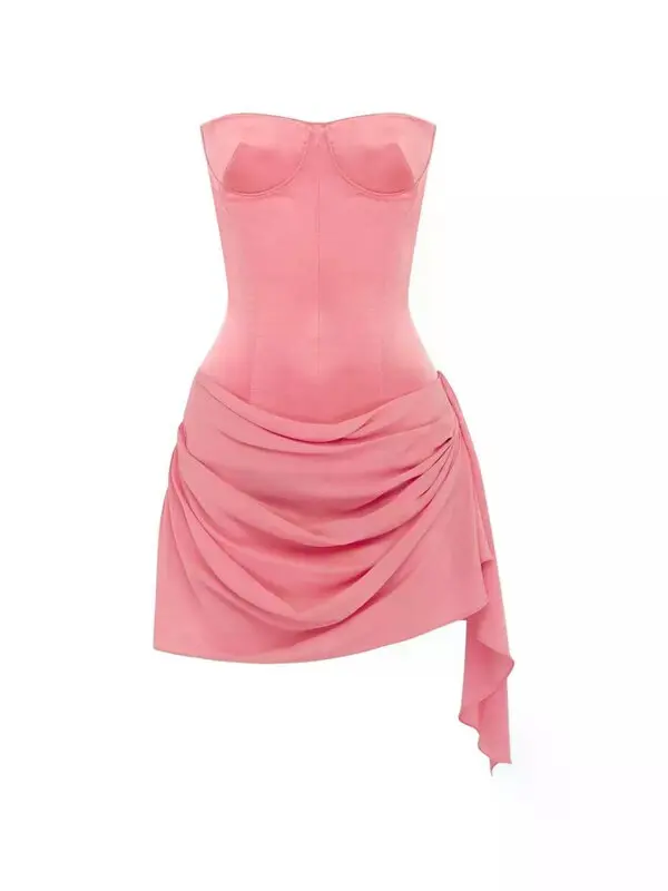 Alex Perry Draped Corset-style Mini Dress
