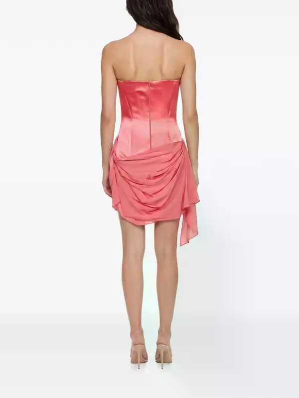 Alex Perry Draped Corset-style Mini Dress