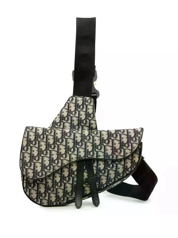 Dior 2019 Oblique Canvas Saddle Crossbody Bag