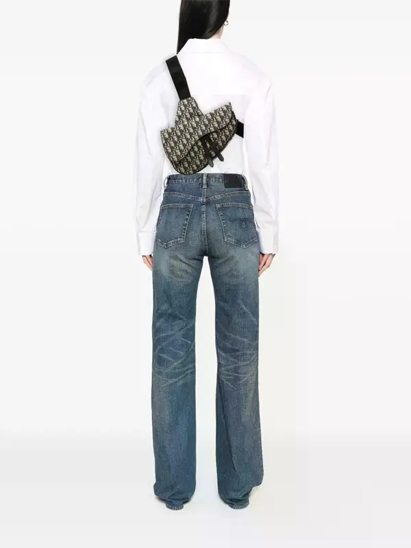 Dior 2019 Oblique Canvas Saddle Crossbody Bag