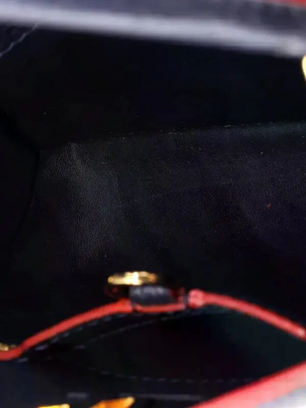 LOUIS VUITTON Capucines Bag Leather Bb Satchel
