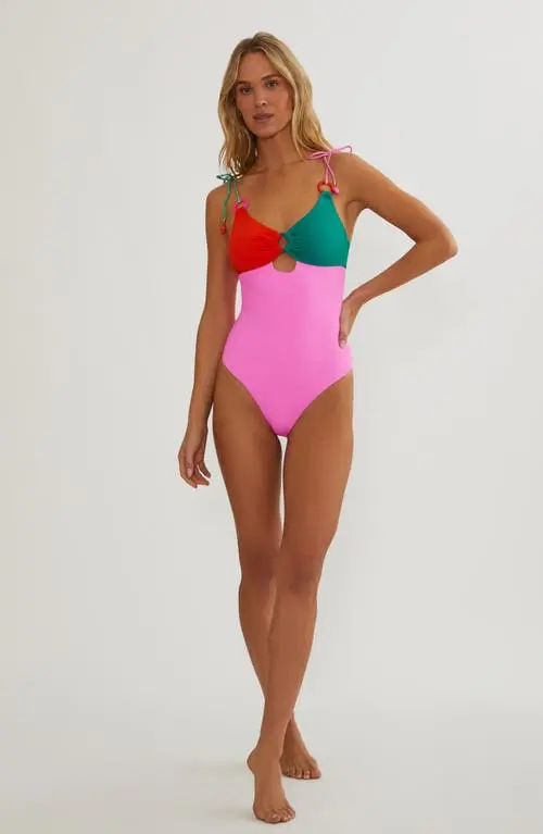 Beach Riot Belen Colorblock One Piece Swimsuit