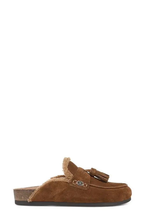 Sam Edelman Astrid Genuine Shearling Lined Mule