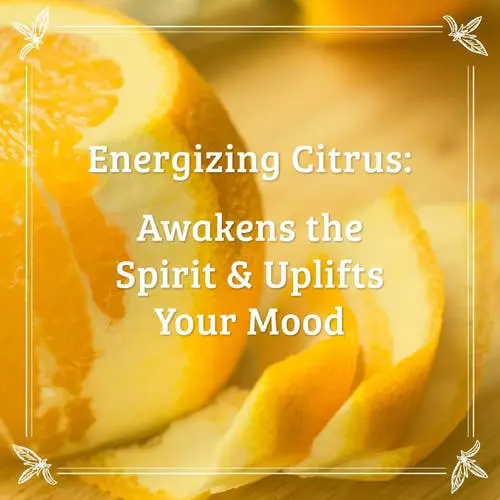 PHARMACOPIA NATURAL BODYCARE Citrus Body Lotionenergizing Aromatherapy