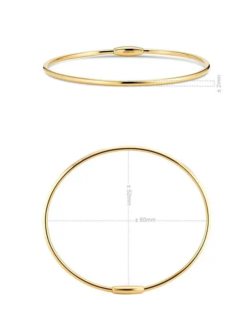 DEVATA 2mm Bangle Bracelet