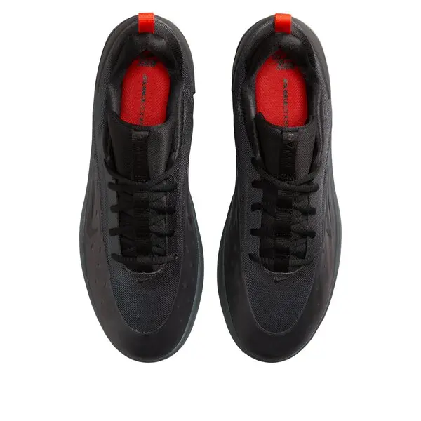 Nike Zoom Nyjah Sneakers