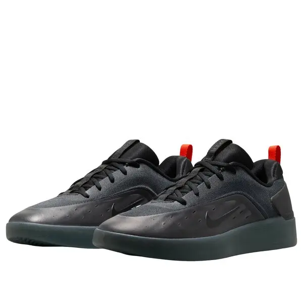 Nike Zoom Nyjah Sneakers