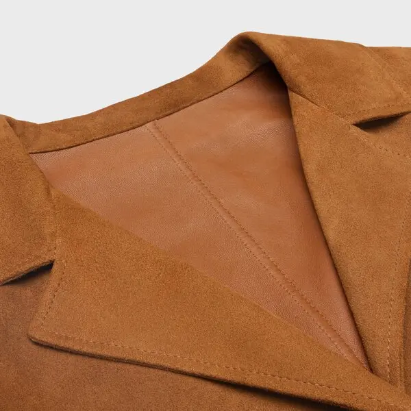 Celine Mini Dress In Suede