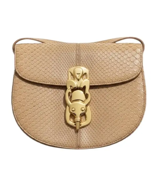 Loewe Flap Shoulder Bag