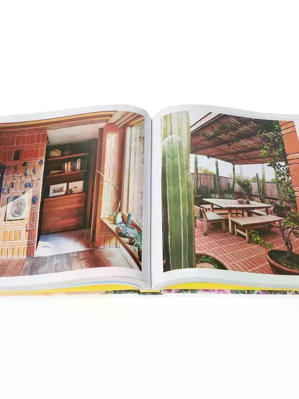 RIZZOLI Mexico Modern: Architecture And Interiors Book - Green