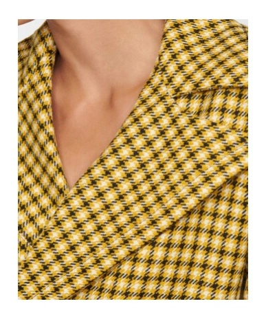 Plan C Houndstooth Wool Blazer