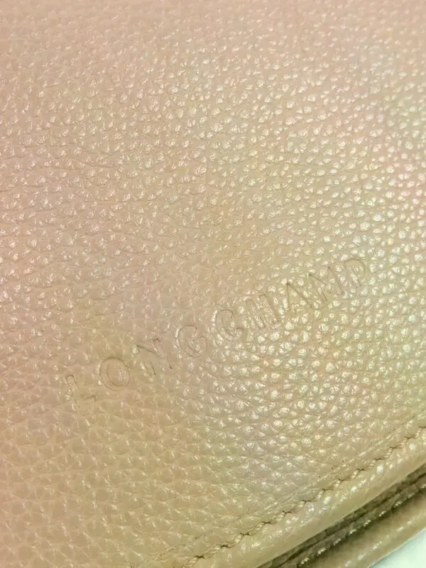 Longchamp Grained Leather Shoulder Bag