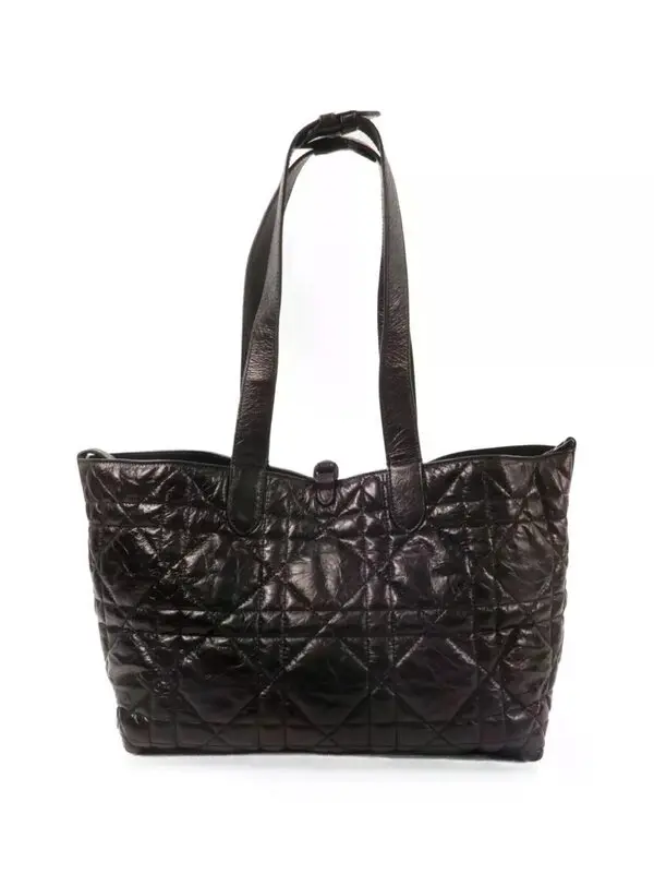 Dior Medium Tote Bag