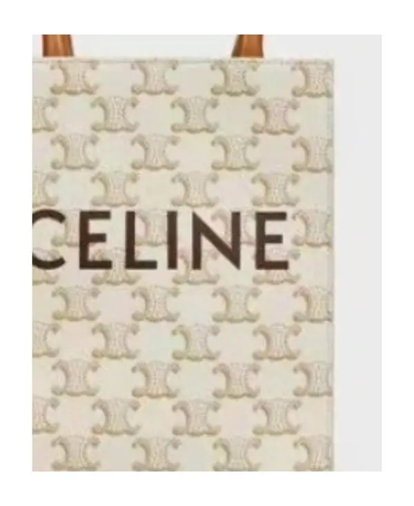 Celine Mini Vertical Cabas In Triomphe Canvas With Print
