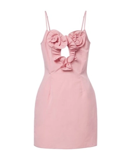 Magda Butrym Floral Applique Mini Dress