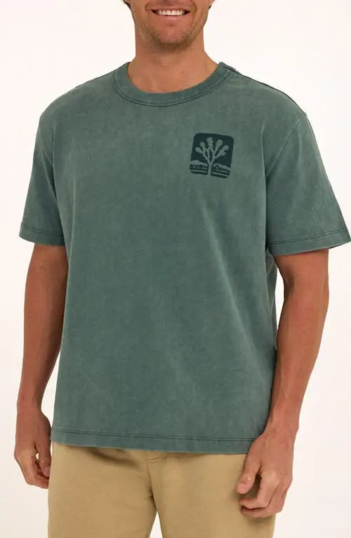 THREADS 4 THOUGHT Desert Life Cotton Graphic T-shirt