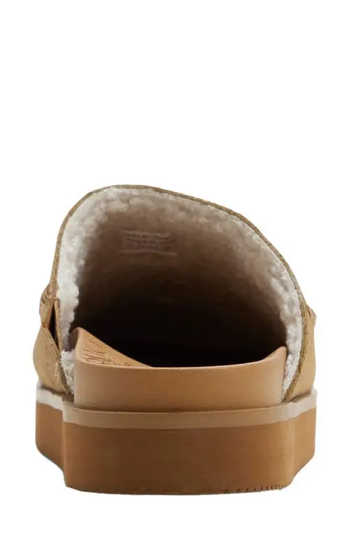Roxy Kahiki Platform Mule