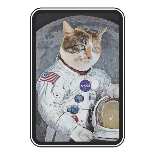NASA Catstronaut Moon Portrait T Shirt