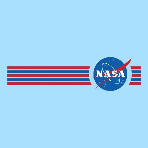 NASA Logo Stripes Short Sleeve Graphic T-shirt