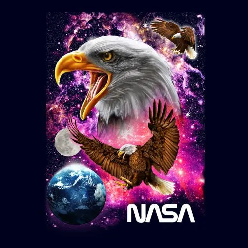 NASA Space Eagle Art Graphic T-shirt