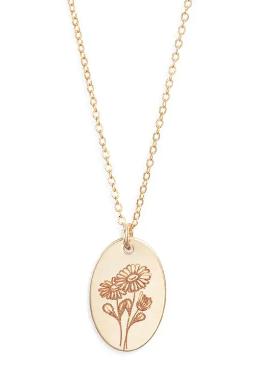 SET & STONES 14k Gold Fill Louise Birth Flower Necklace - Gold/april