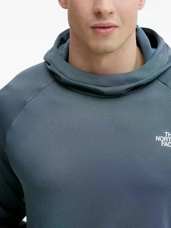 The North Face Logo Print Raglan Hoodie