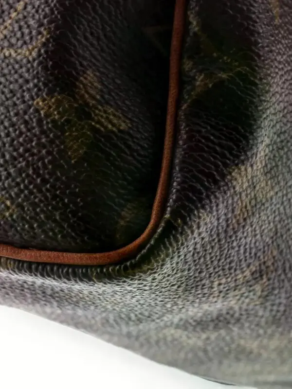 LOUIS VUITTON Speedy Mini Hl Handbag In Monogram Canvas