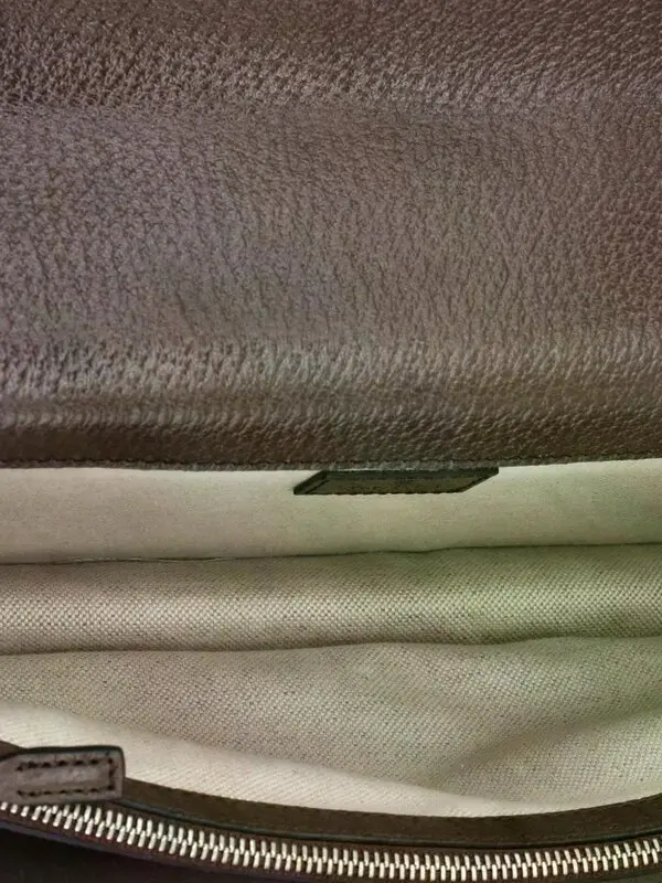 Gucci Dionysus Bag Jumbo Gg Canvas Small Shoulder Bag