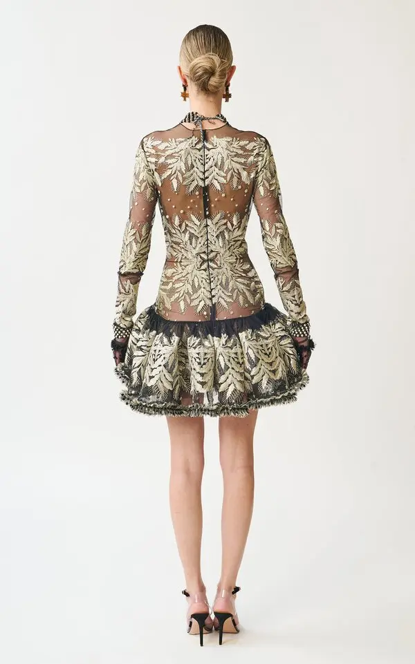 JUOZAS STATKEVICIUS Long-sleeve Embroidered Tulle Mini Dress