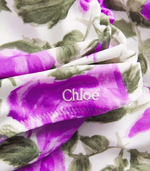 Chloé Rose Print Lace-detail Swimsuit